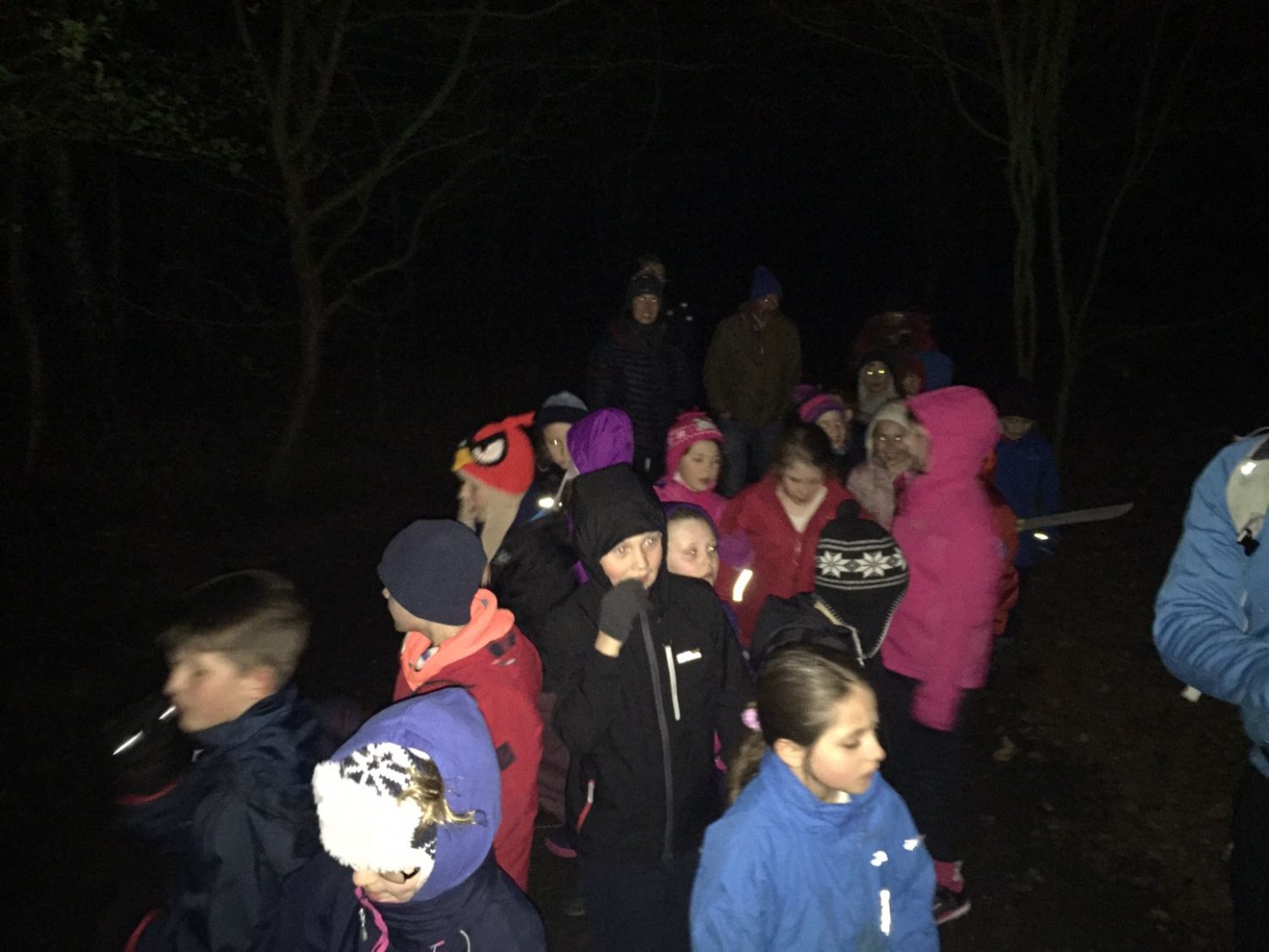 Night walk – Hoyland Common Primary School