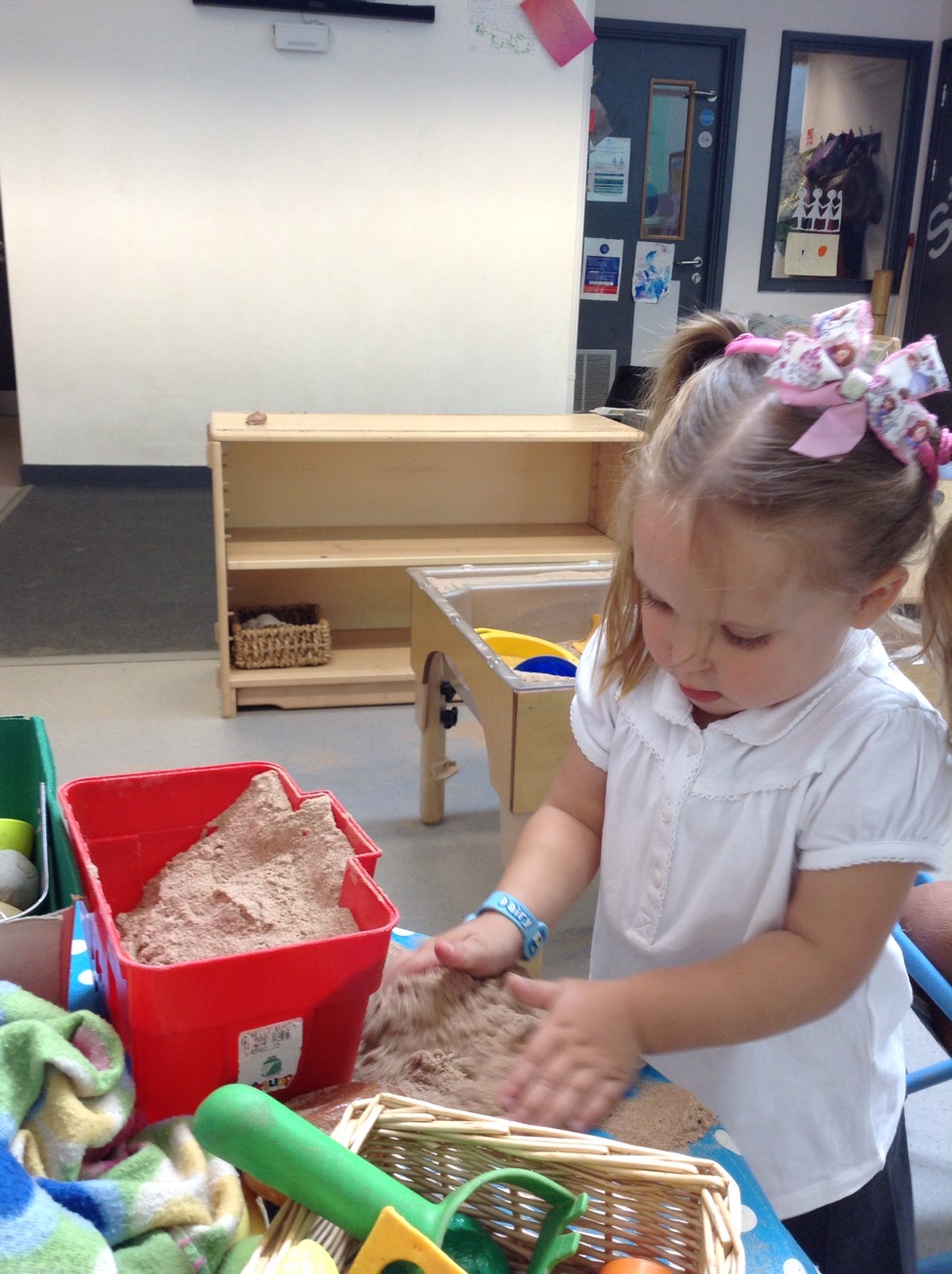 Afternoon visits – Hoyland Common Primary School