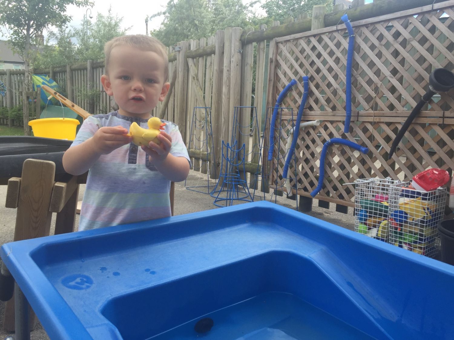New starters – Hoyland Common Primary School