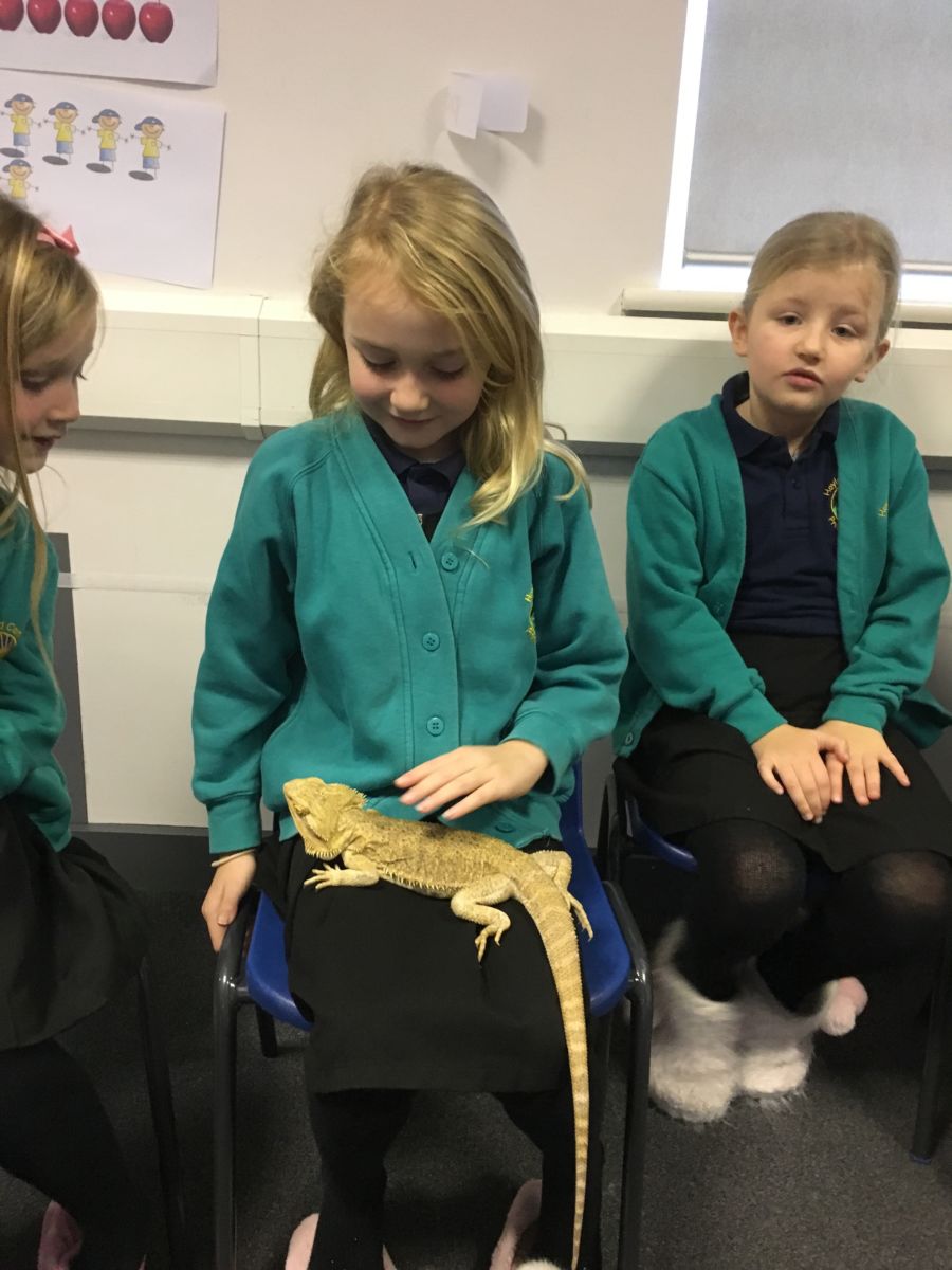 Zoo lab visit! – Hoyland Common Primary School