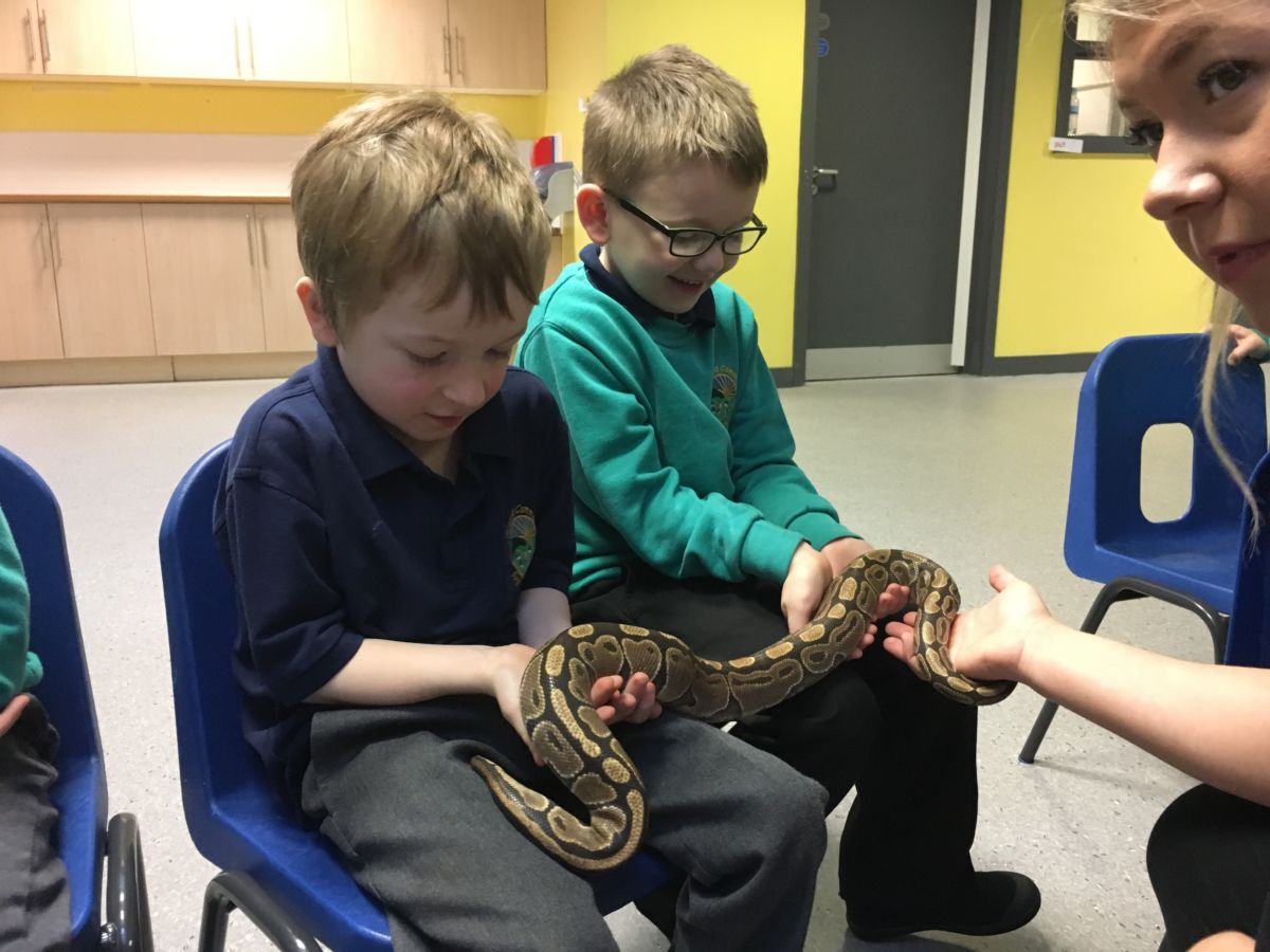Zoo lab visit! – Hoyland Common Primary School