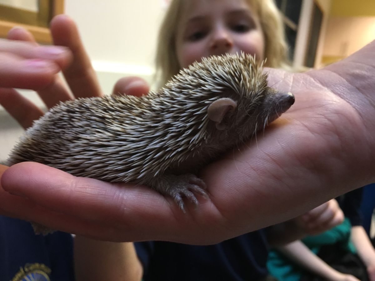 Zoo lab visit! – Hoyland Common Primary School