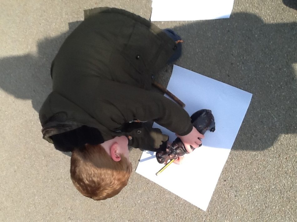 Animal Shadows – Hoyland Common Primary School