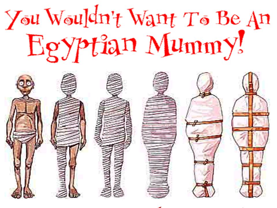 Mummy mission – Hoyland Common Primary School